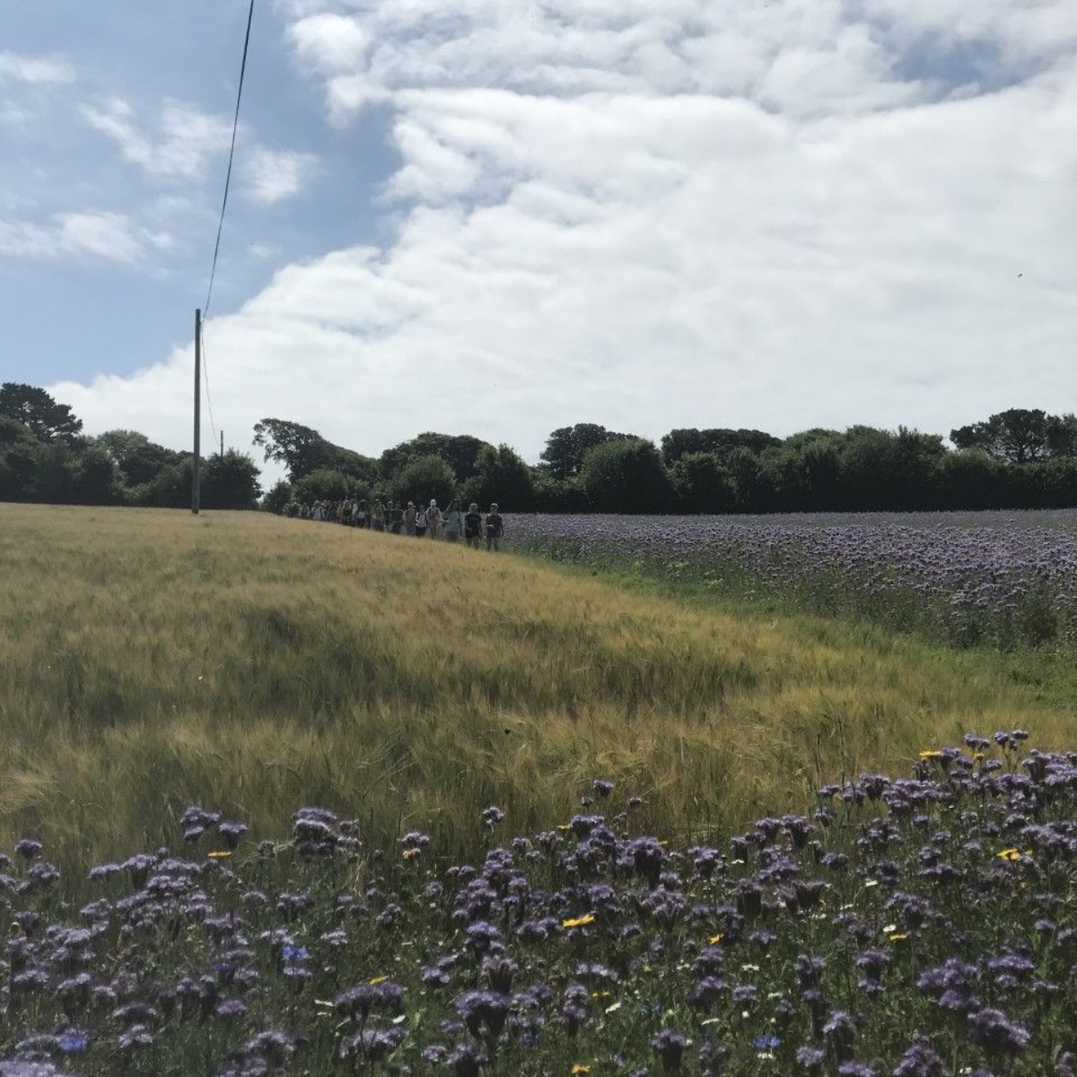 Coombe Dean School - Community Walk